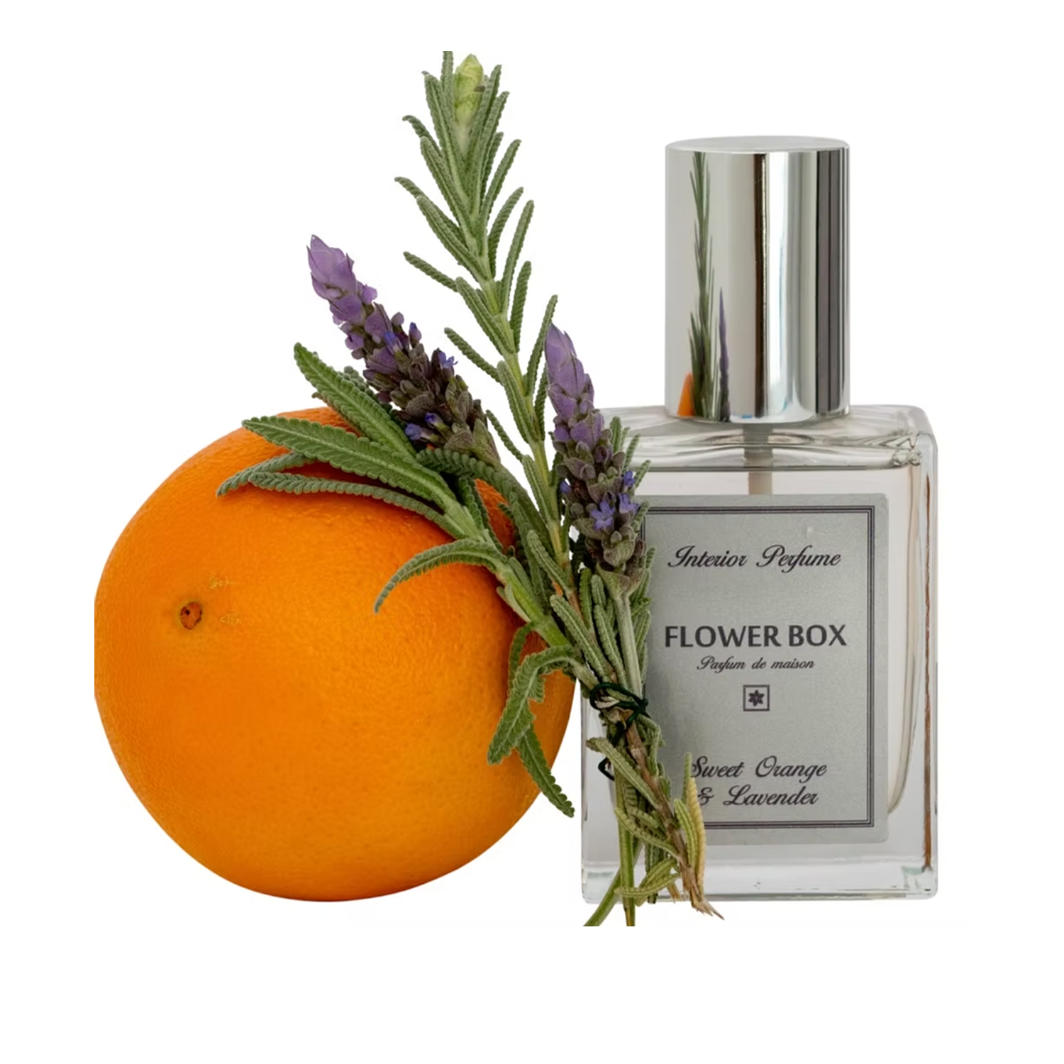 Sweet Orange & Lavender - Interior Perfume (100ml) – Flower Box Home ...