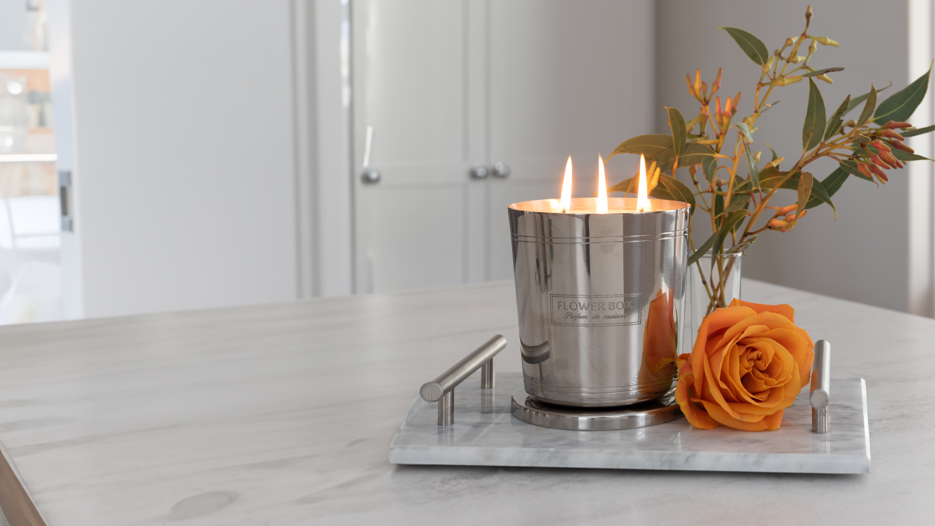 Fig Leaf & Cedar - Hallmark Candle (1kg) – Flower Box Home Fragrance